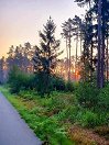Filip.Macoun | ČSFD.cz