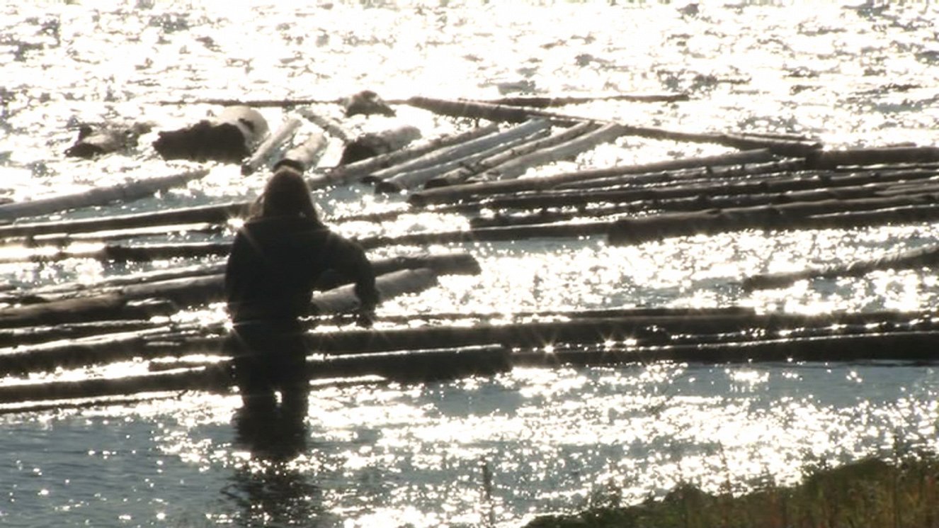 Raduga (slavnost duhy) (2014) | ČSFD.cz