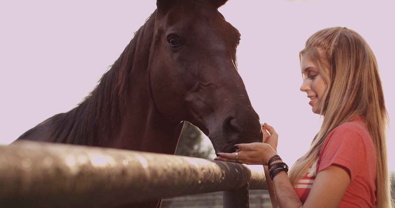 Spirit Riders (2015) | Galerie - Z filmu | ČSFD.cz