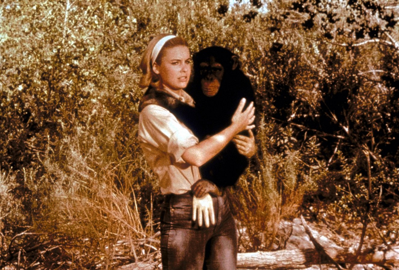 Daktari (1966) | ČSFD.cz