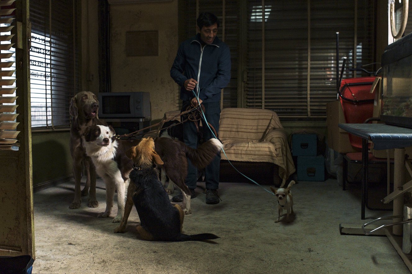 Dogman (2018) | ČSFD.cz