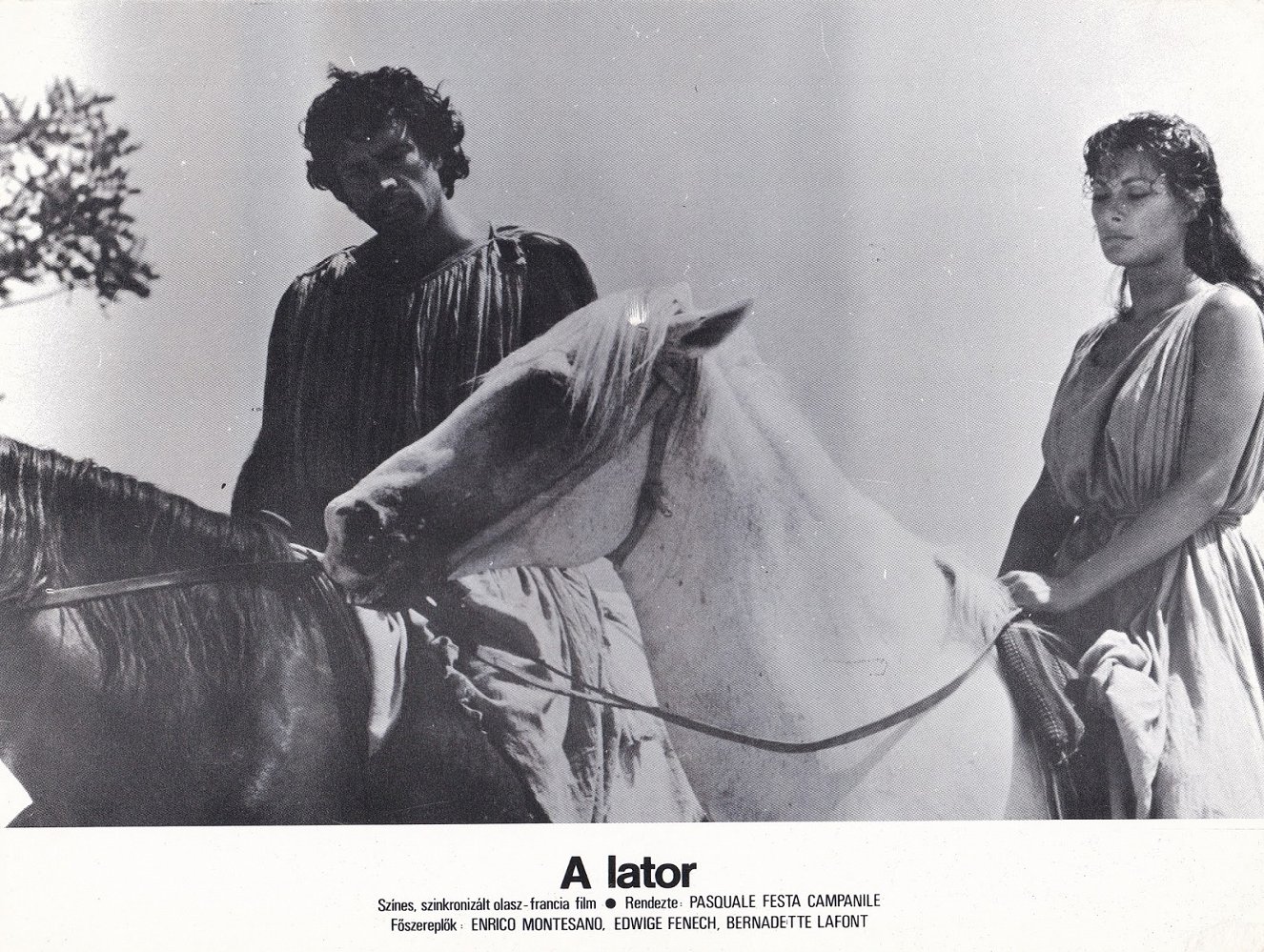 Le Larron (1980) | ČSFD.cz