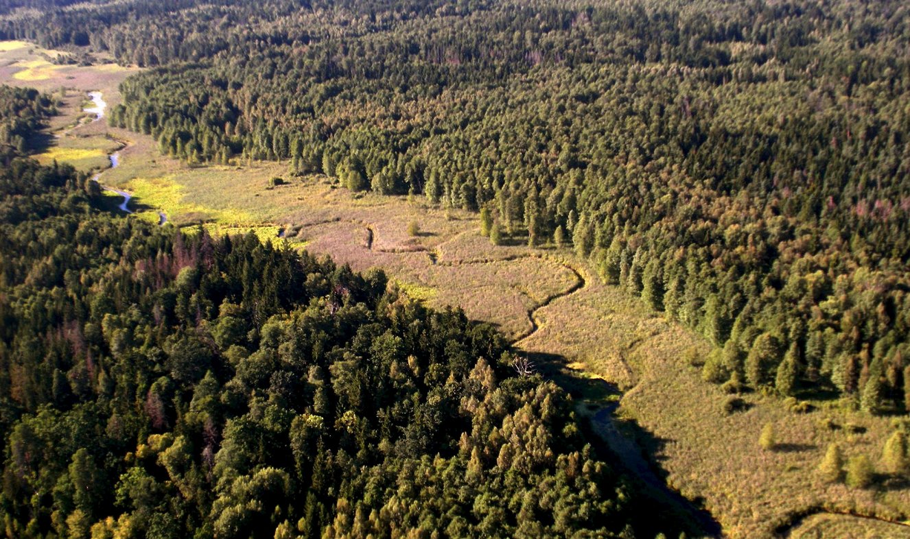 Pralesy Európy (2011) | ČSFD.sk