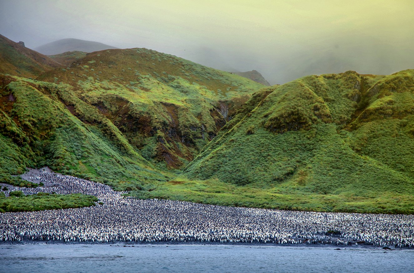 Antarctica - The Frozen Time (2021) | ČSFD.cz