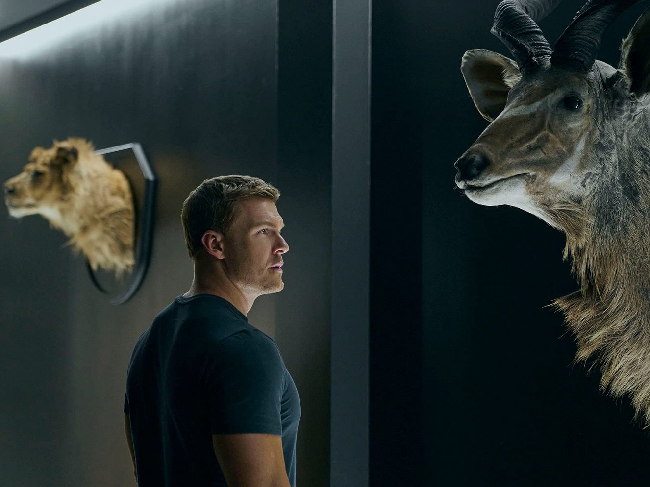 Reacher - Season 1 (S01) (2022) | ČSFD.cz