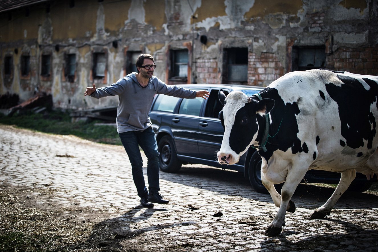 Teorie tygra (2016) | ČSFD.cz