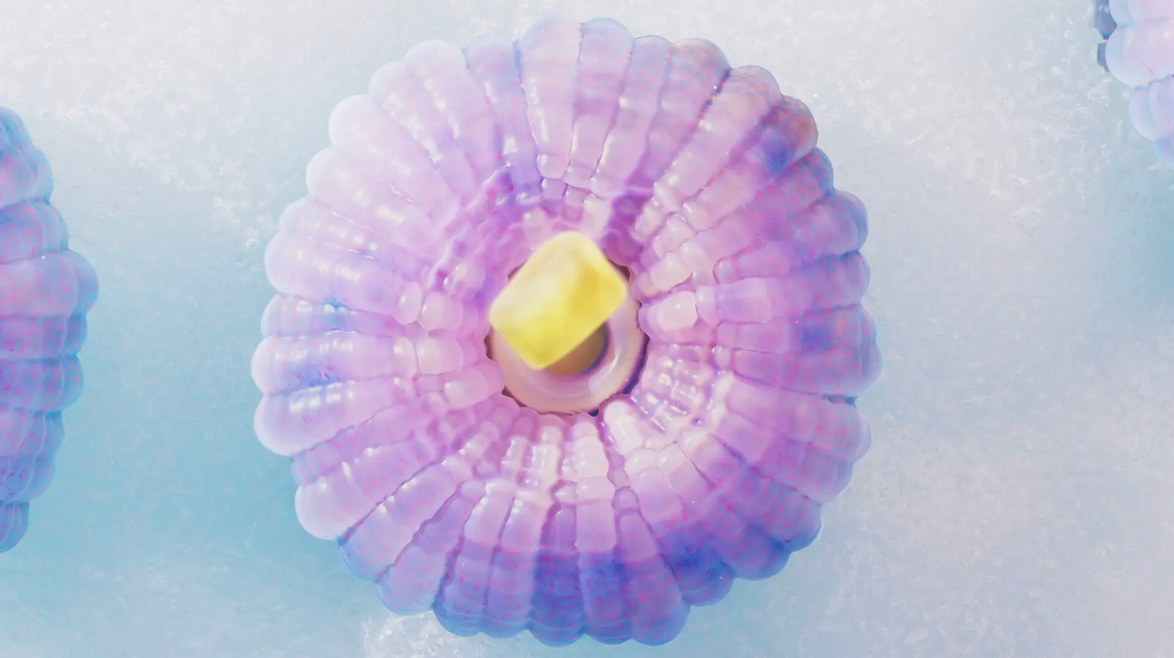 Taste: We Eat What We Are (2024) | ČSFD.cz