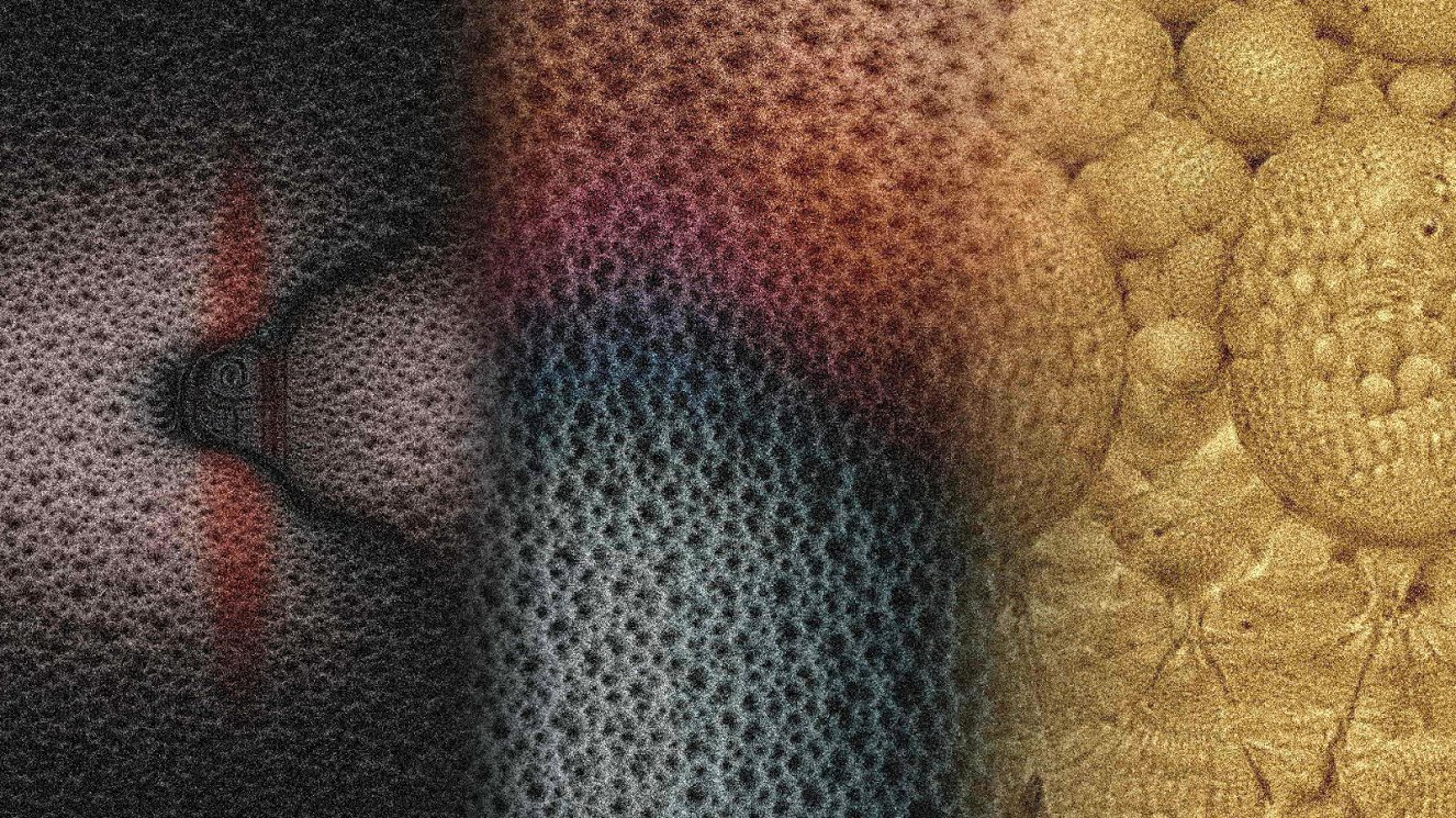 The Garden of Electric Delights (2025) | ČSFD.cz