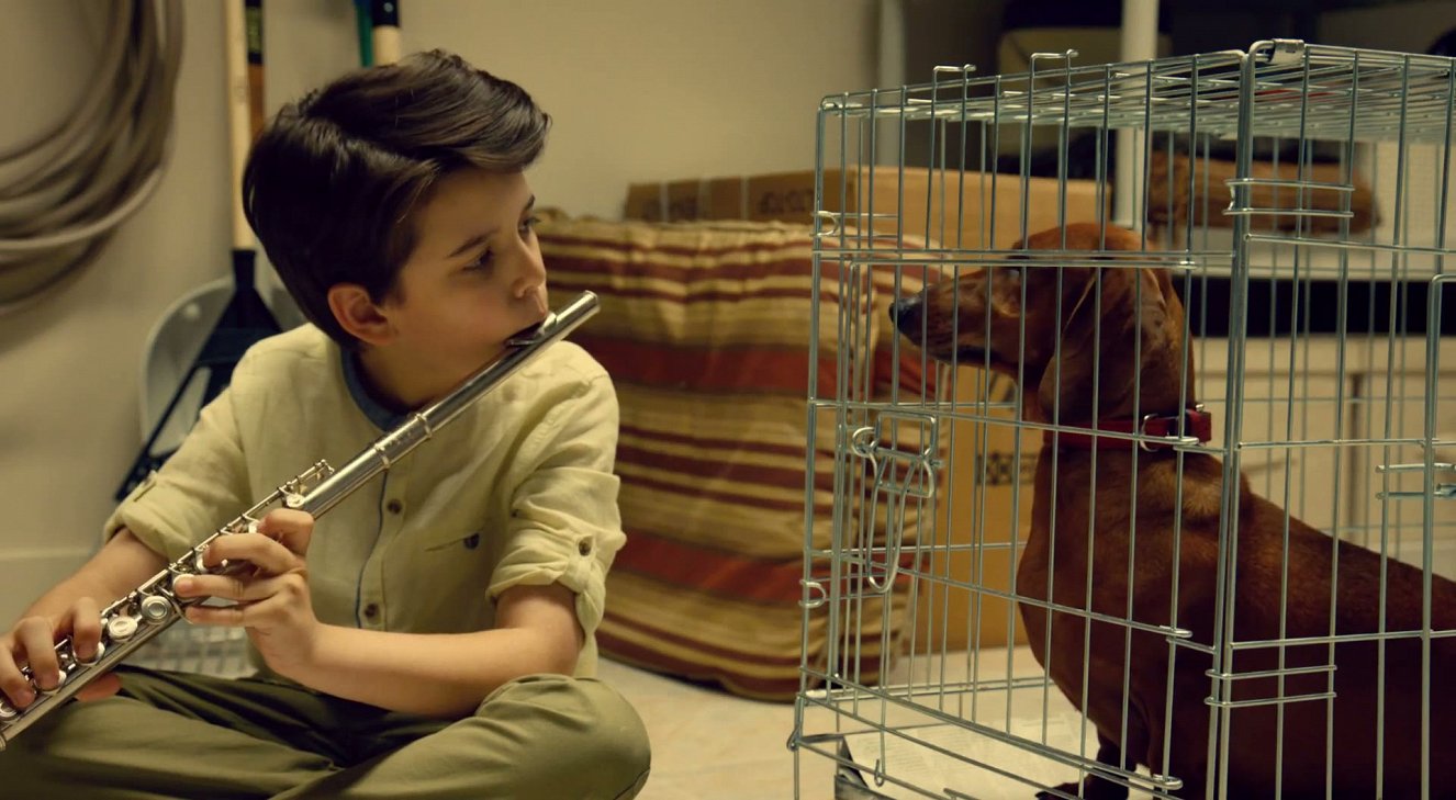 Wiener-Dog (2016) | ČSFD.cz