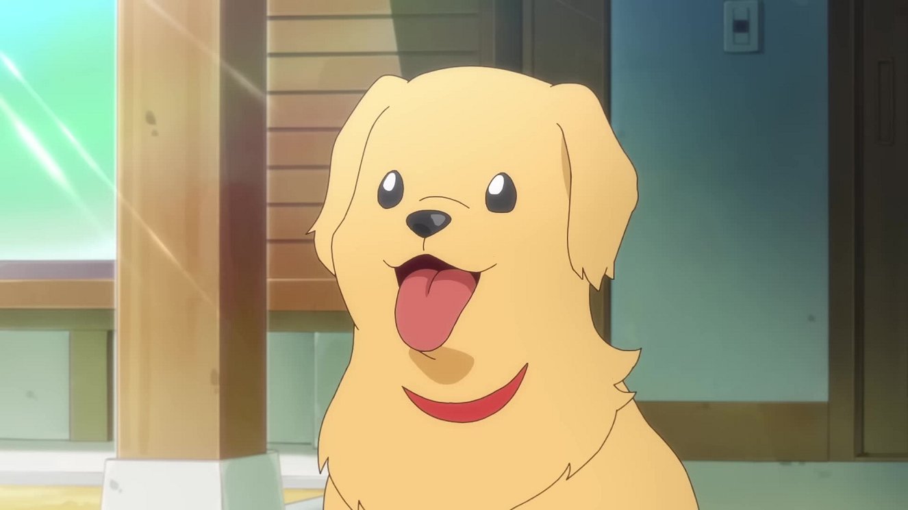 You and Idol Precure - Woof Woof! Together with Kyu-chan! (E28) (2025 ...