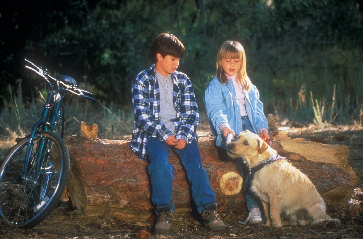 Ross Malinger | Galerie - Z filmu | ČSFD.cz