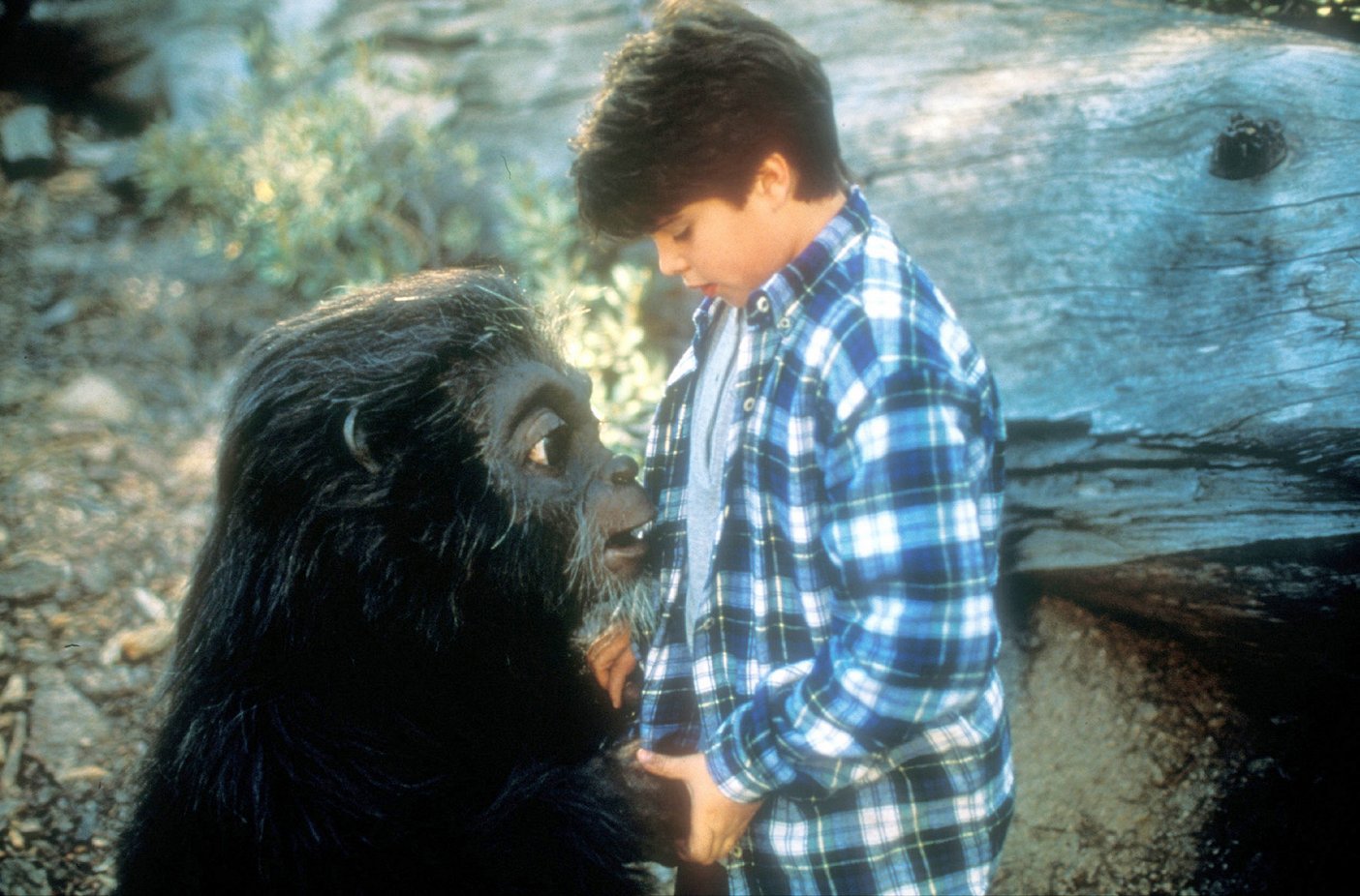 Ross Malinger | Galerie - Z filmu | ČSFD.cz