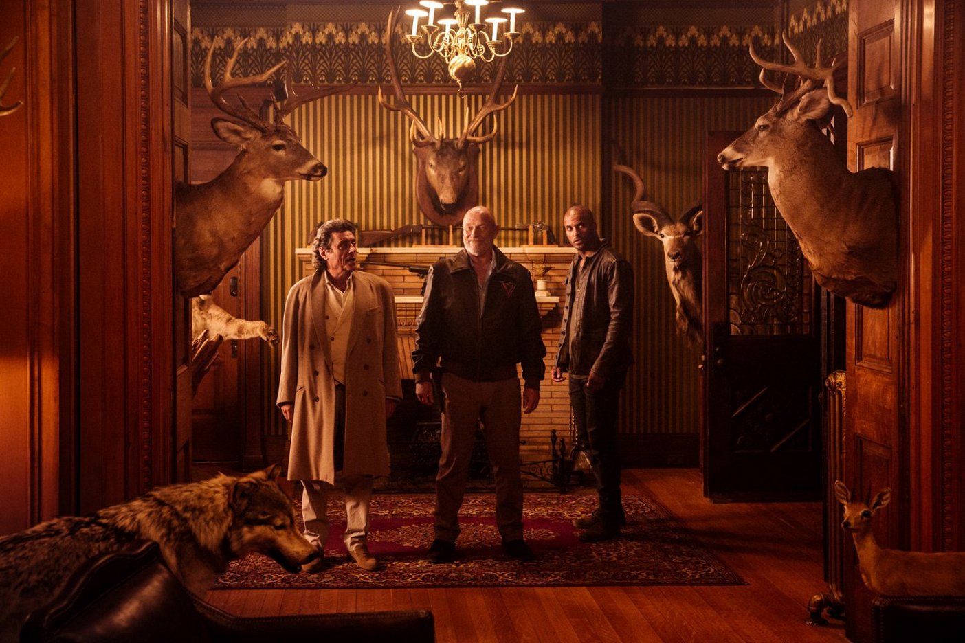 Corbin Bernsen | ČSFD.cz