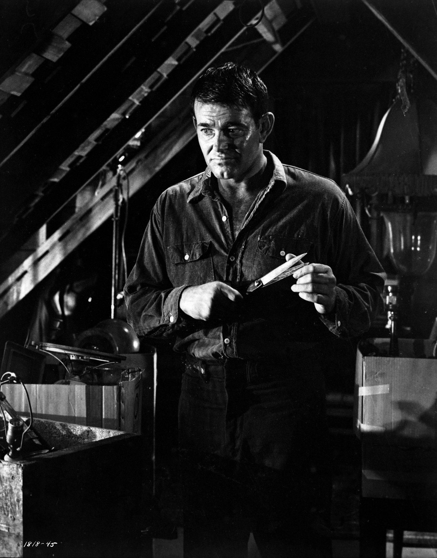 Stuart Whitman | ČSFD.cz