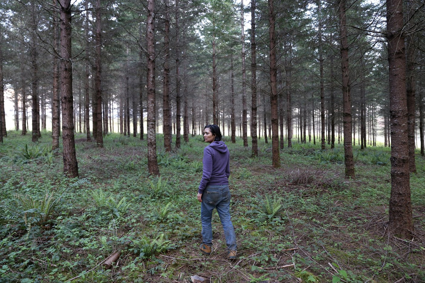 Jules Willcox | Galerie - Z filmu | ČSFD.cz