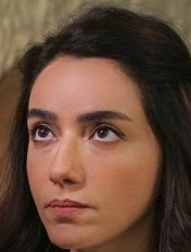 Doğa İçin Çal 2: Uzun İnce Bir Yoldayım (2010) | Filmemacher*innen ...