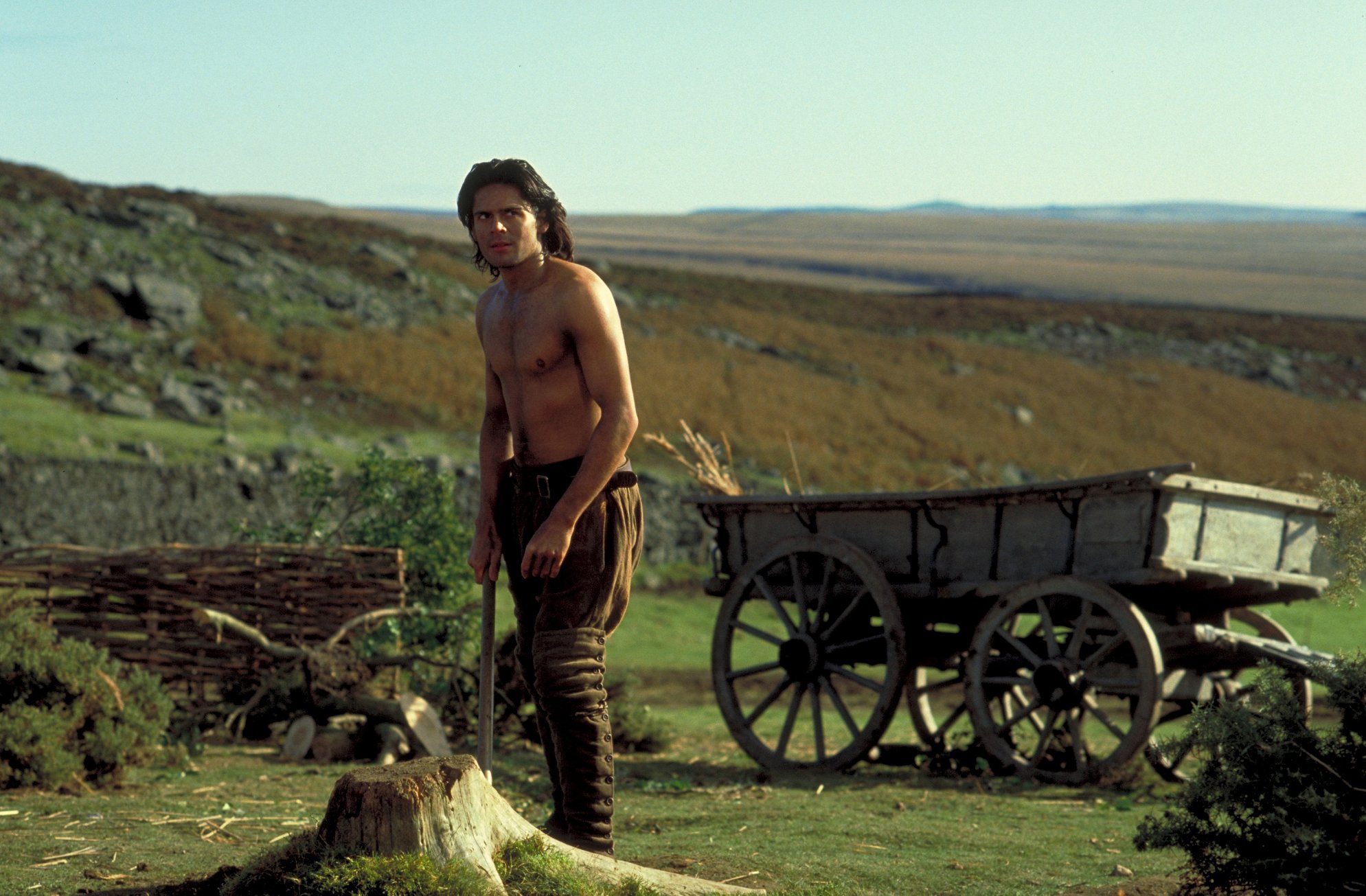 Bouřlivé výšiny (1992) | ČSFD.cz