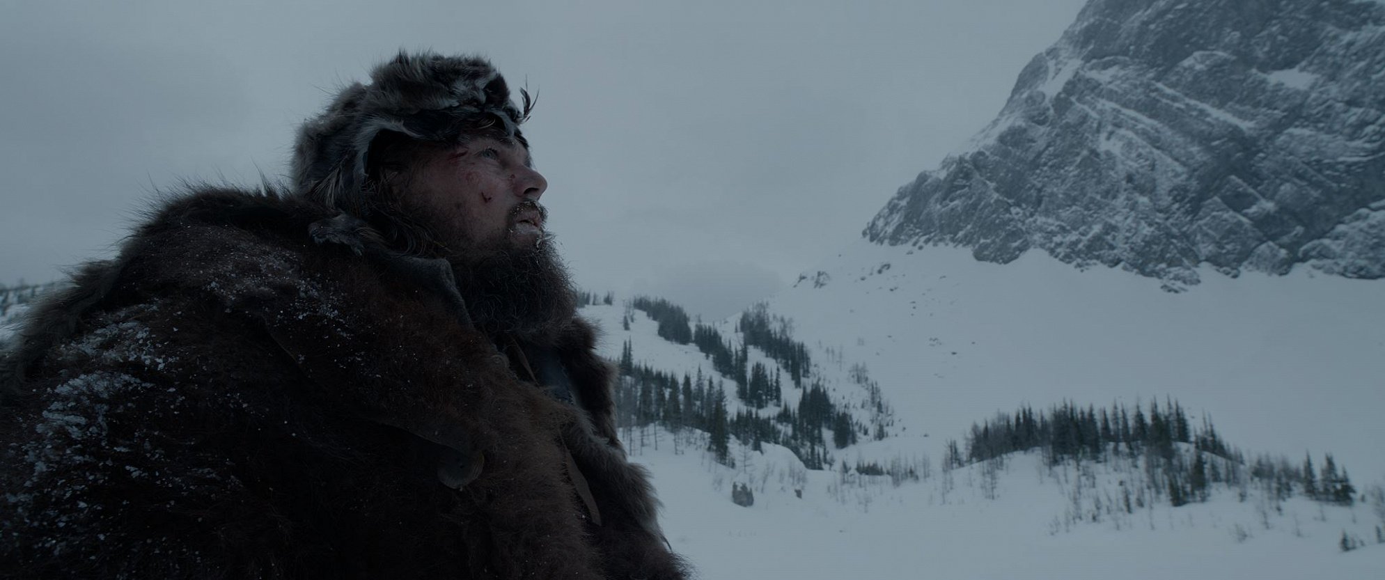 REVENANT Zmrtvýchvstání (2015) | ČSFD.cz