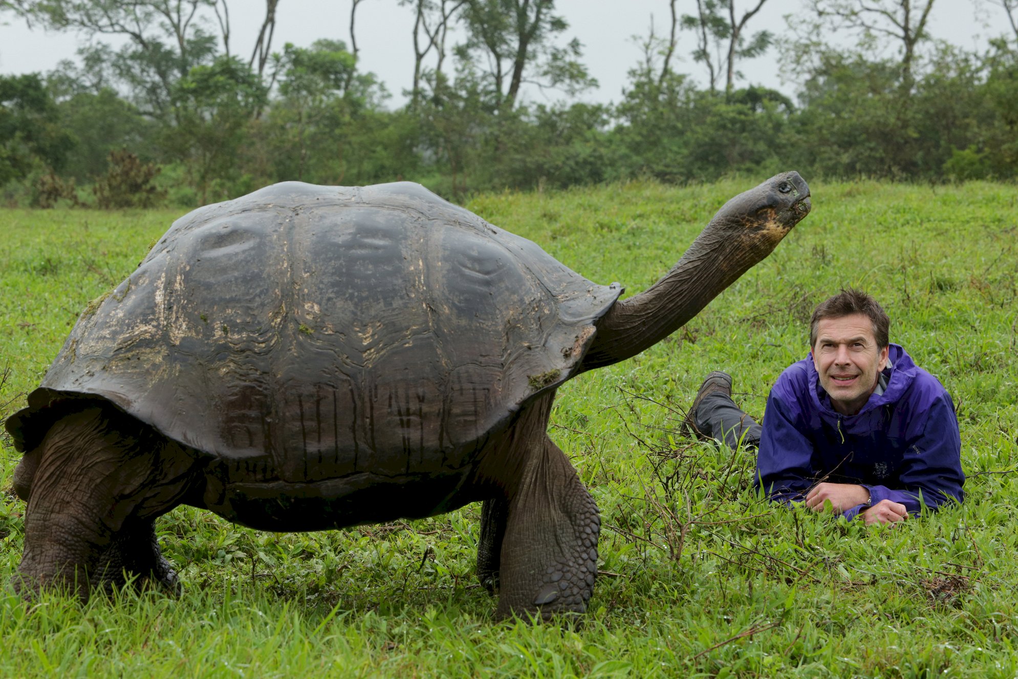 Terra X: Faszination Erde - mit Dirk Steffens: Ecuador - Galapagos und ...