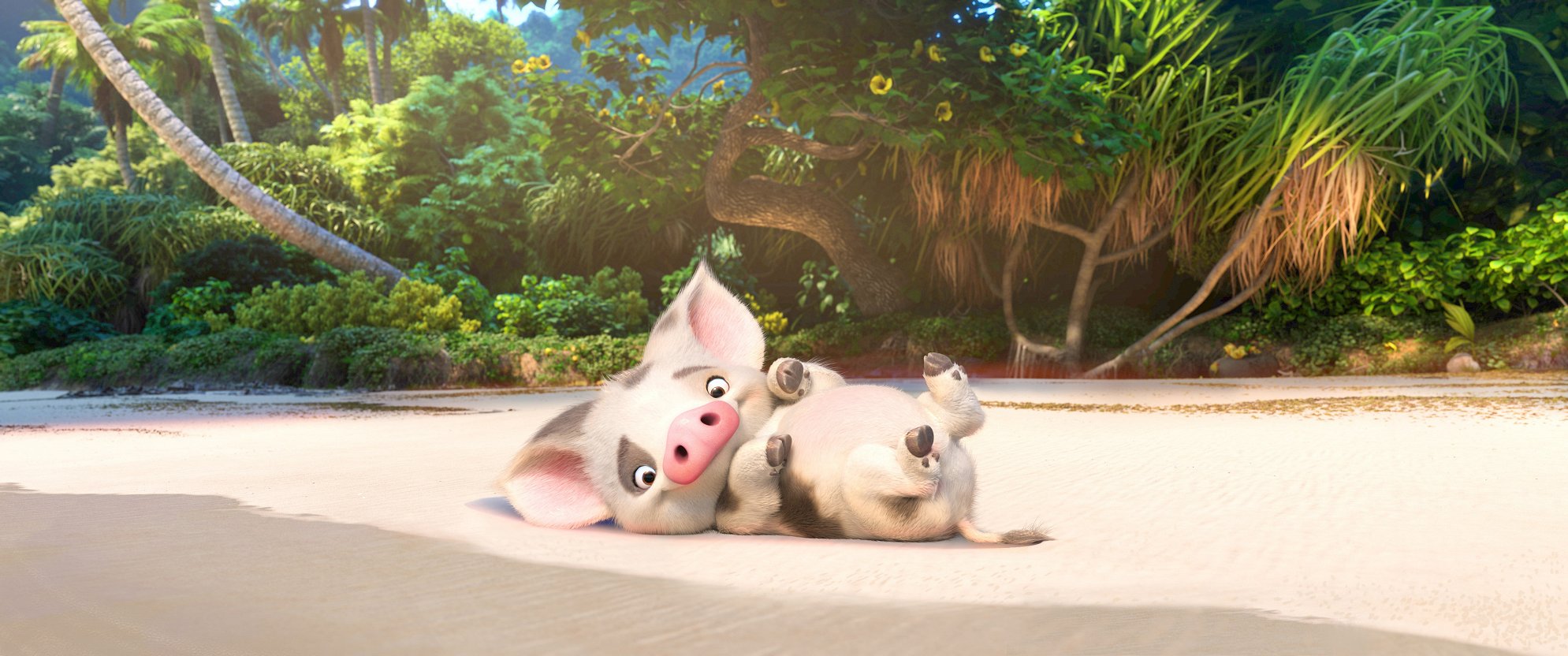 Vaiana: Legenda o oceáne (2016) | ČSFD.sk