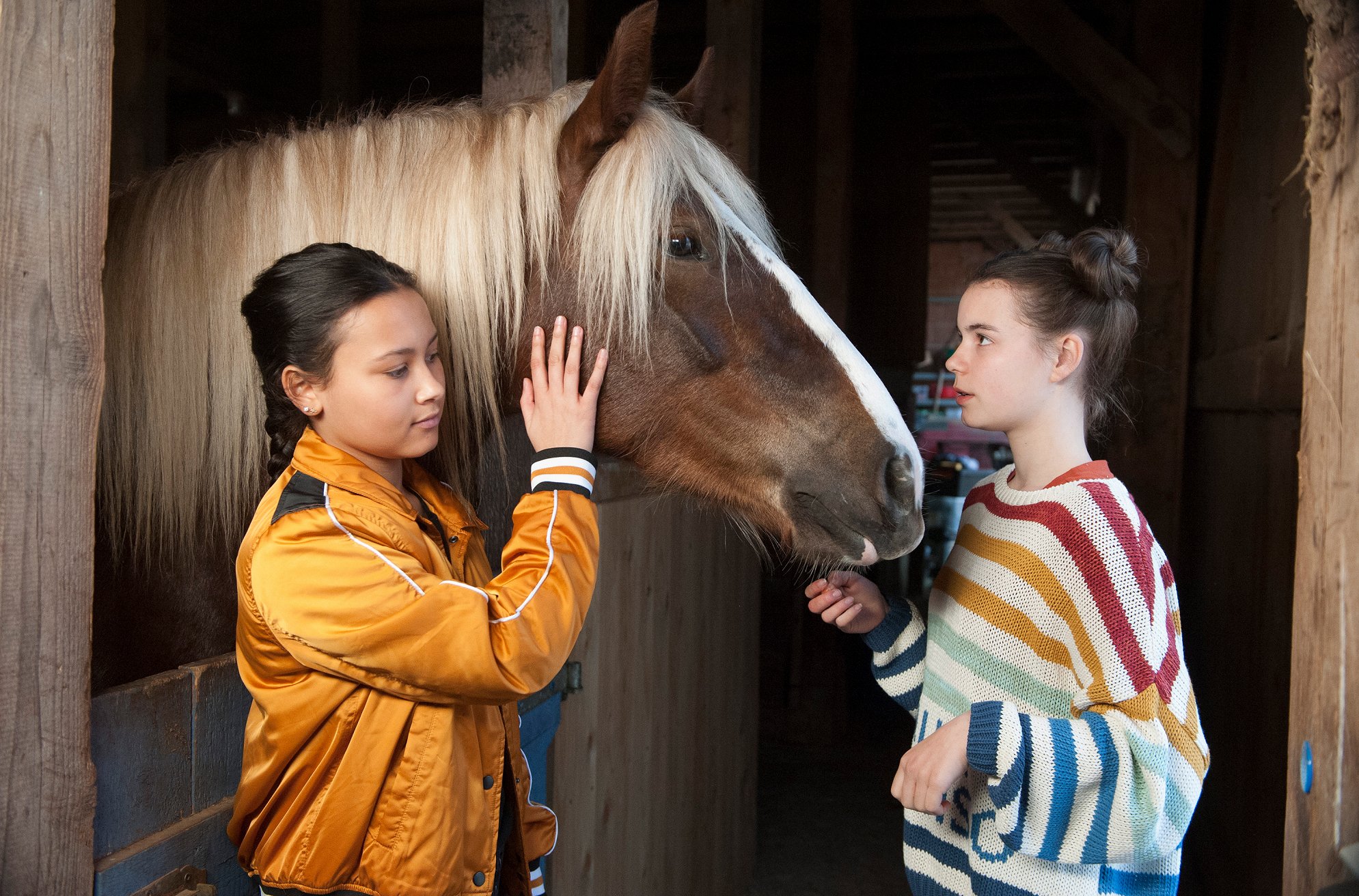 Dům plný zvířátek - Pferdeschmerz (S07E07) (2018) | ČSFD.cz