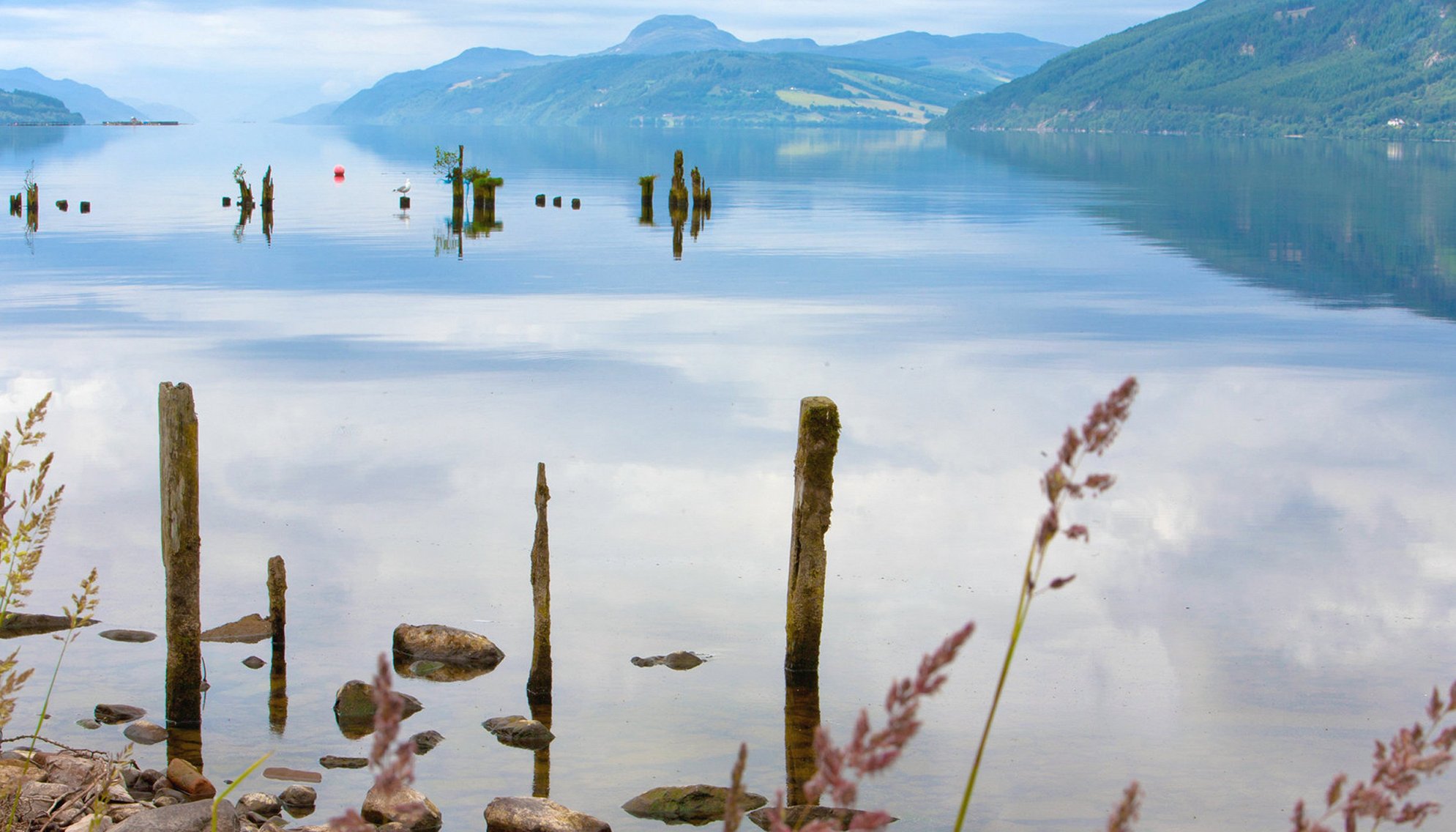 Schottlands Nordseeküste - Von den Shetlands bis Edinburgh (2014) | ČSFD.cz