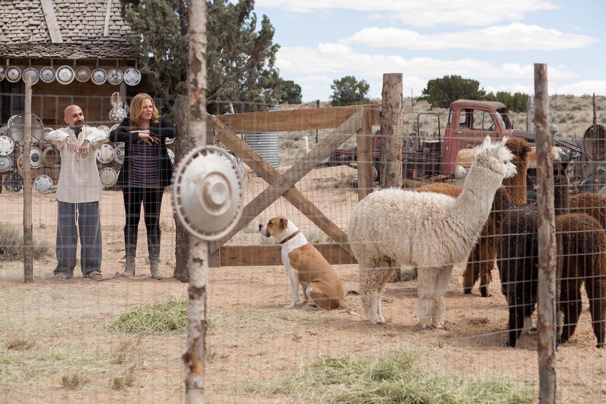 In Plain Sight - Girls, Interrupted (S04E10) (2011) | ČSFD.sk