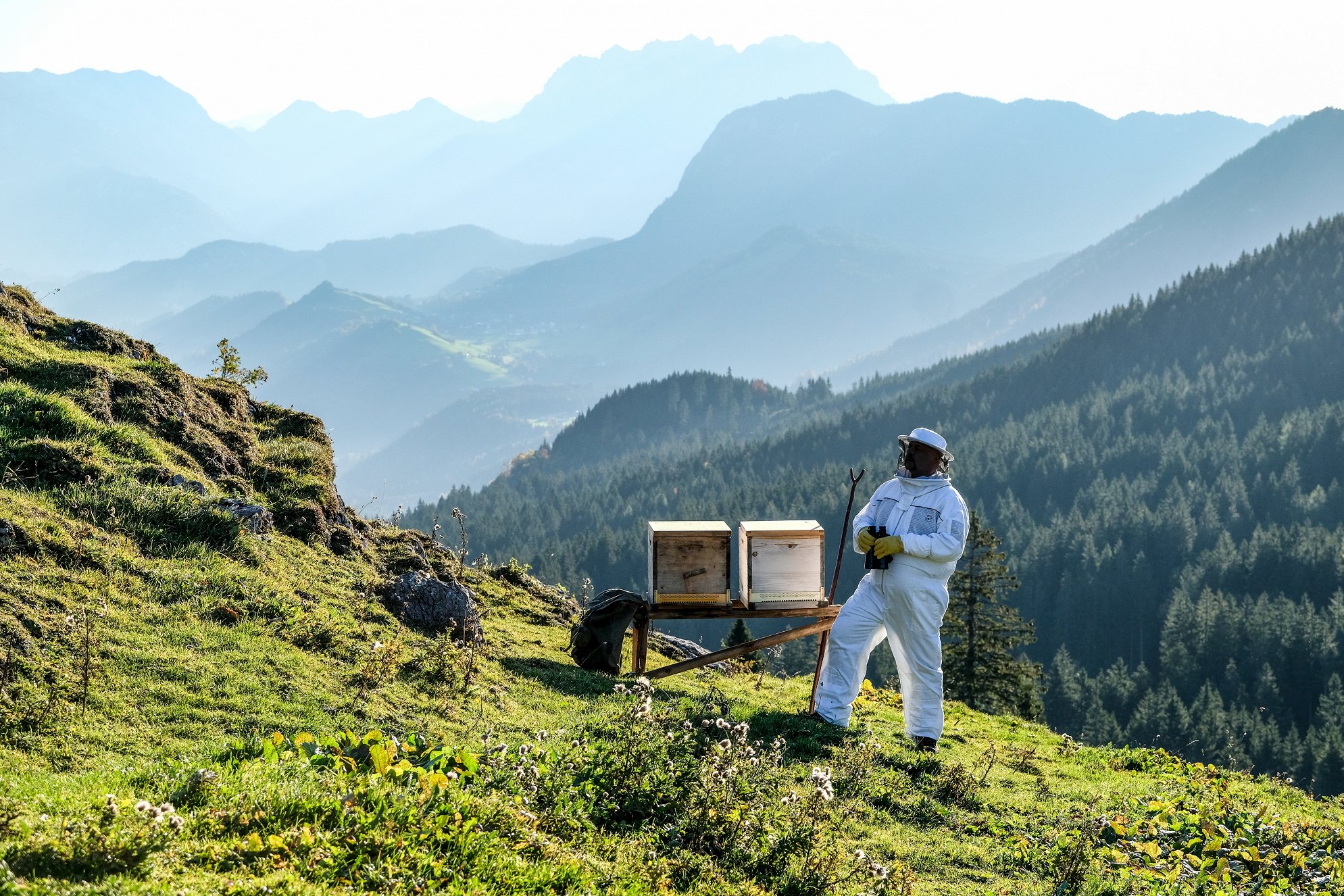Gipfelstürmer - Das Berginternat (2019) | ČSFD.cz