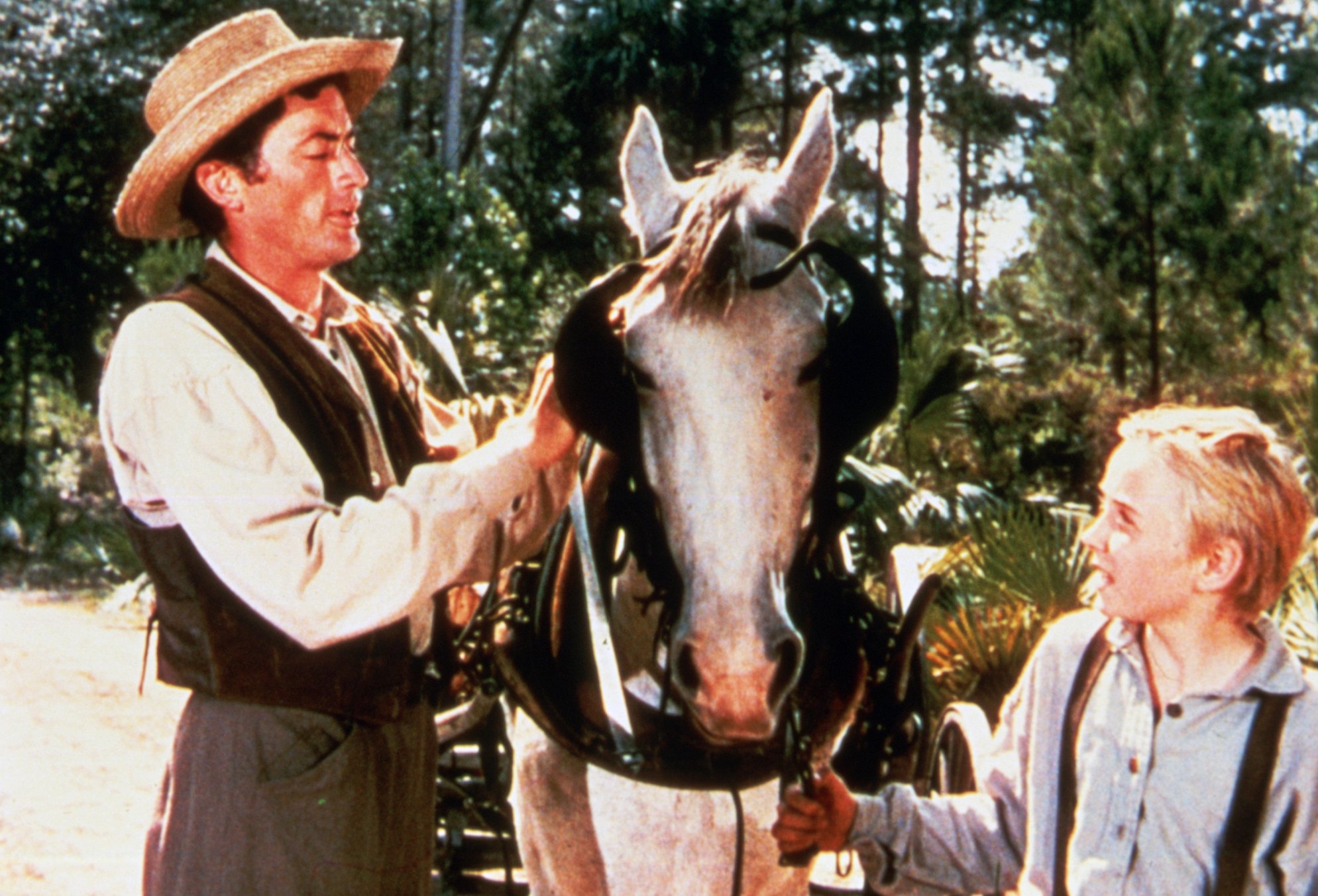 The Yearling (1946) | ČSFD.cz