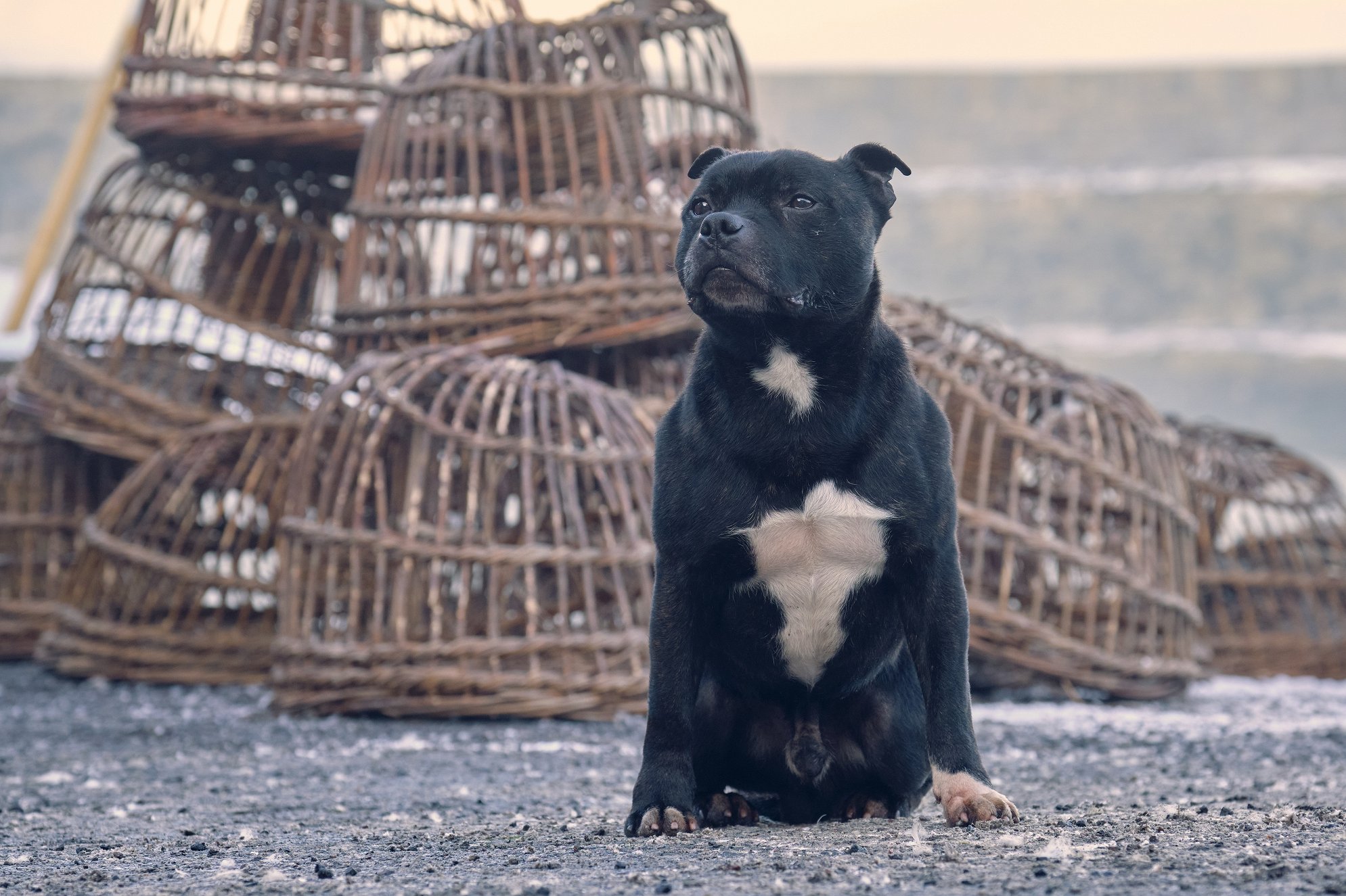 Gangy z Birminghamu (2013) | ČSFD.cz