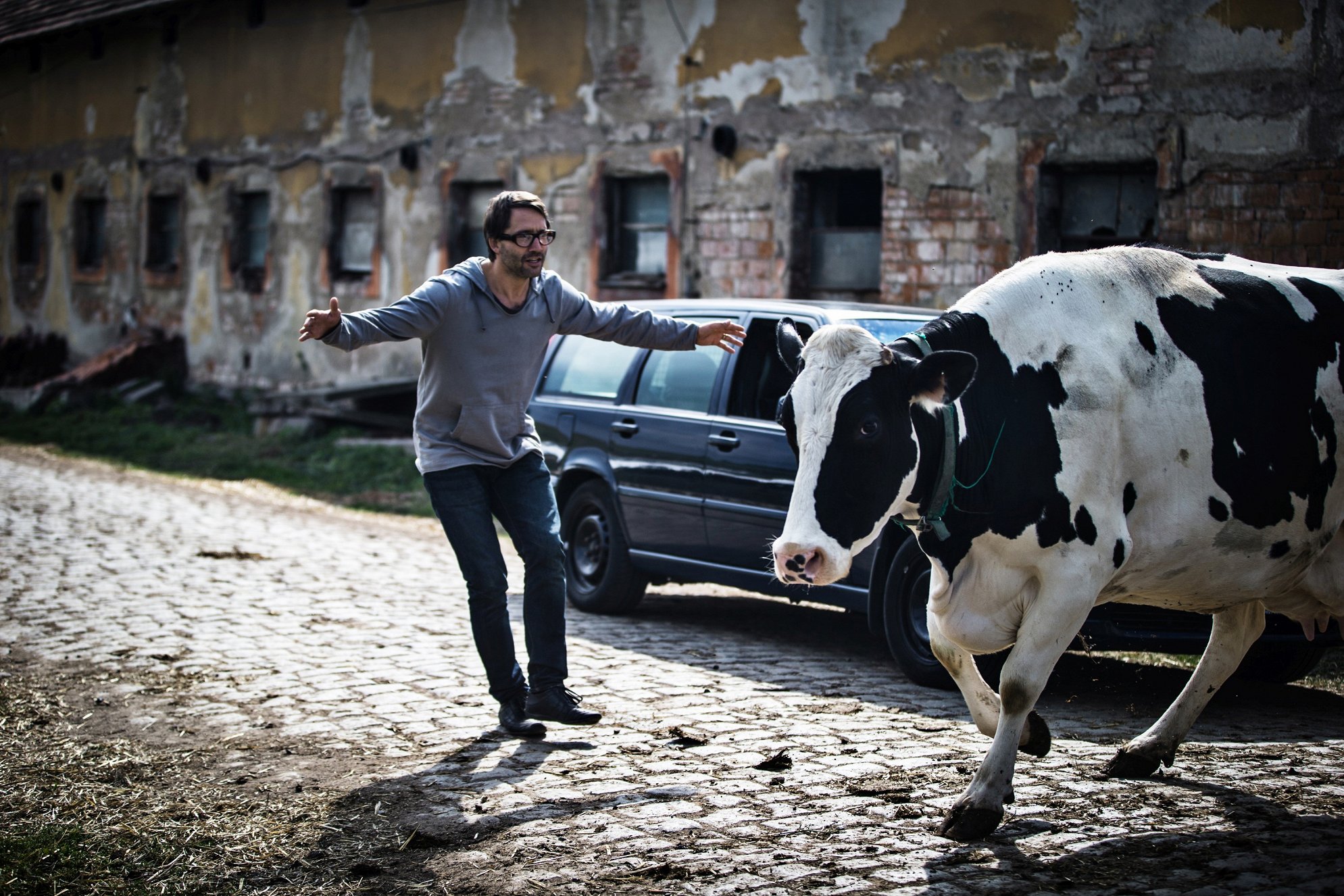 Teorie tygra (2016) | ČSFD.cz