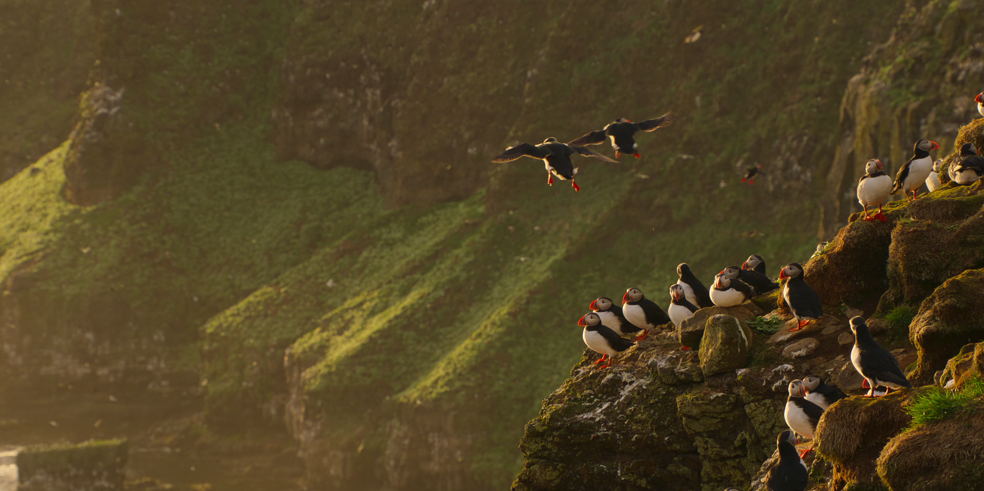 Our Oceans - Atlantic Ocean (E03) (2024) | ČSFD.cz