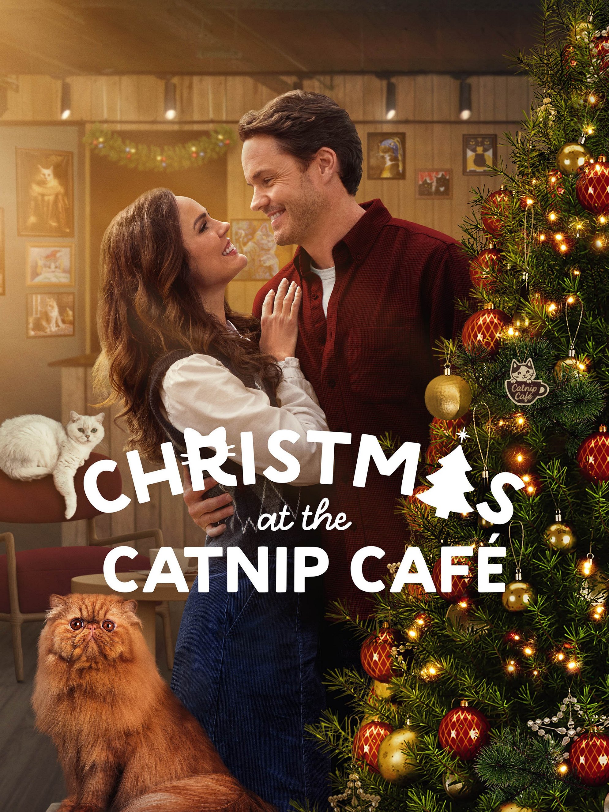Christmas at the Catnip Cafe (2025) | Galeria - Plakaty | ČSFD.cz