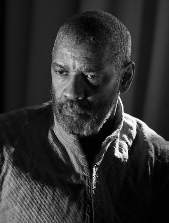 Denzel Washington přejde Alpy jako Hannibal | Novinky | ČSFD.cz