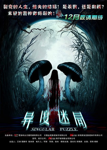 Singular Puzzle (2012) | ČSFD.cz