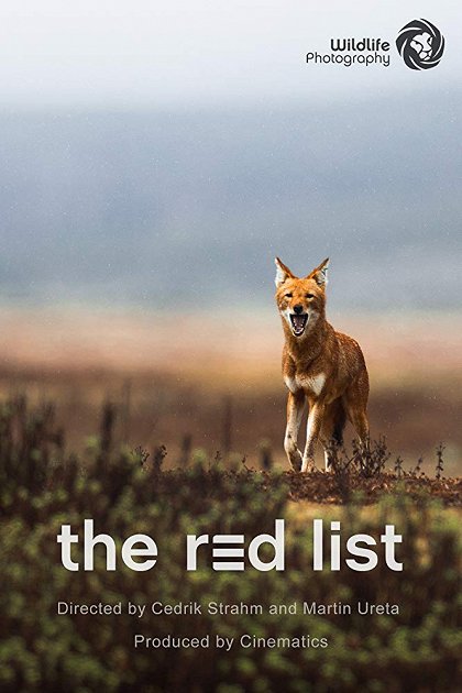 The Red List (2019) | ČSFD.cz