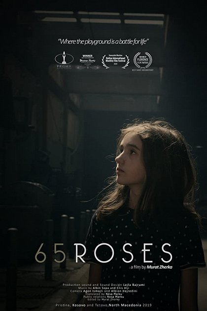 65 Trëndafila (2019) | ČSFD.cz