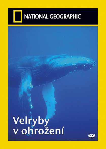 Velryby v ohrožení (2004) | ČSFD.cz