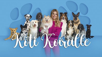 Koti koiralle (2022) | ČSFD.cz