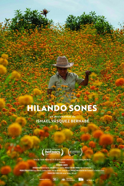 Hilando sones (2024) | ČSFD.cz