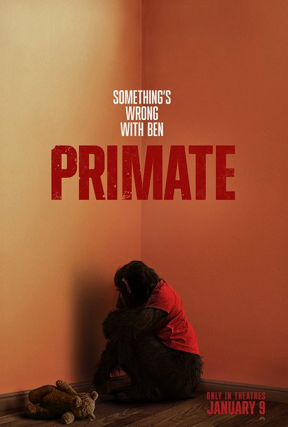 Primát (2025) | Recenze - Uživatelské | ČSFD.cz