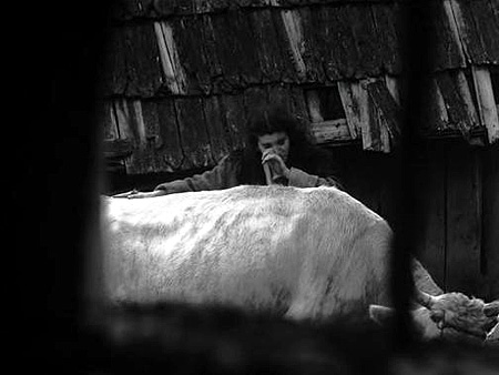 Ana-Maria Calinescu | ČSFD.sk