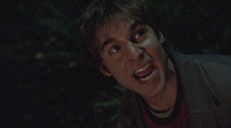 Daniel Letterle | ČSFD.cz