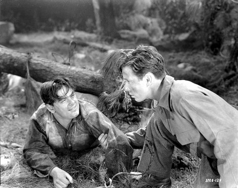 Edward Arnold Jr. | Galerie - Z filmu | ČSFD.cz