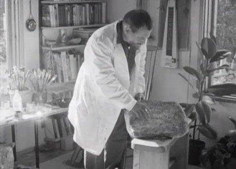 Reidar Särestöniemi | ČSFD.cz