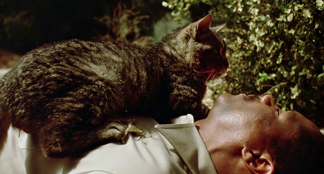 Dan Martin | ČSFD.cz