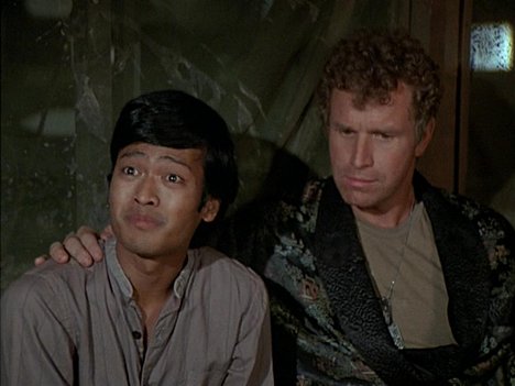 Patrick Adiarte Brady Bunch