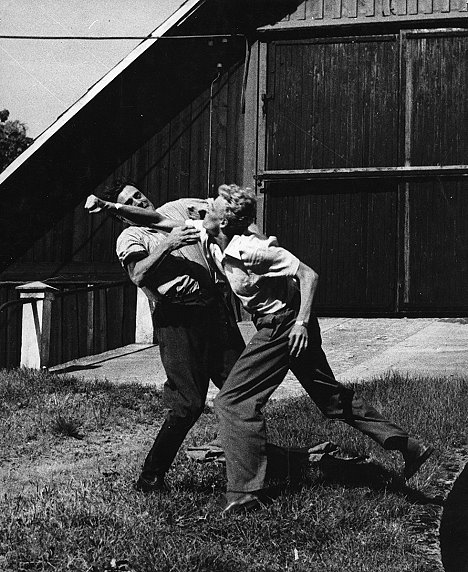 Saulo Haarla | ČSFD.cz