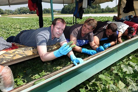 Alexander Herrmann | ČSFD.cz