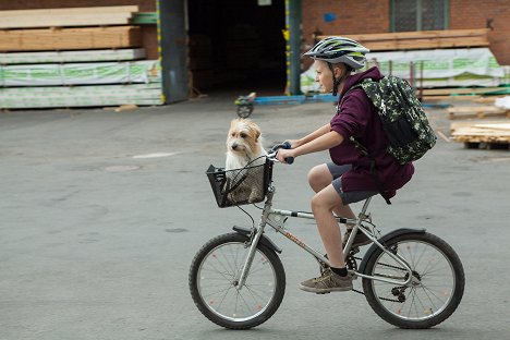 Andy Kummer | ČSFD.cz